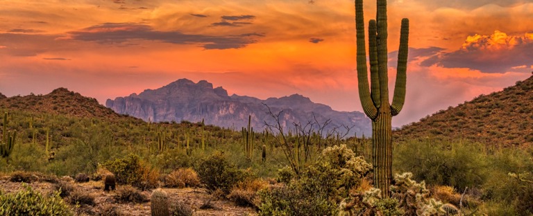 Exclusive Arizona Ranches for Sale | Luxury Ranch Real Estate