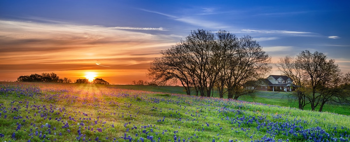 Exclusive Texas Ranches for Sale | Luxury Ranch Real Estate