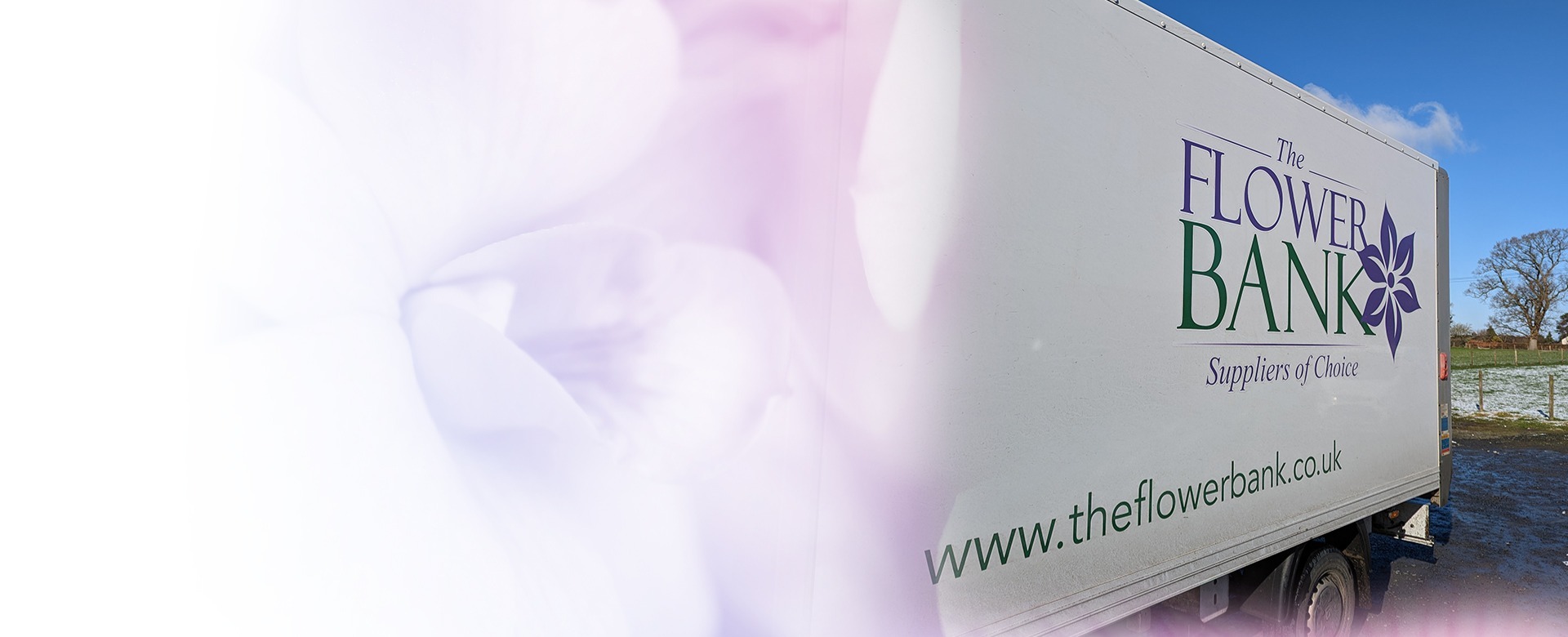 About The Flower Bank | The Flower Bank Wholesale Florist