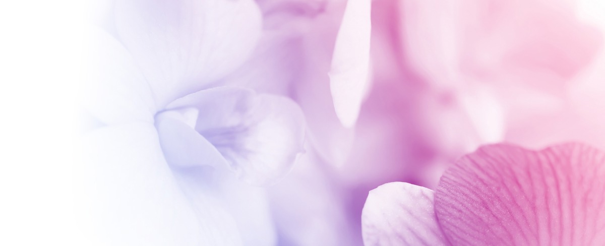 Frequently Asked Questions | The Flower Bank Wholesale Florist